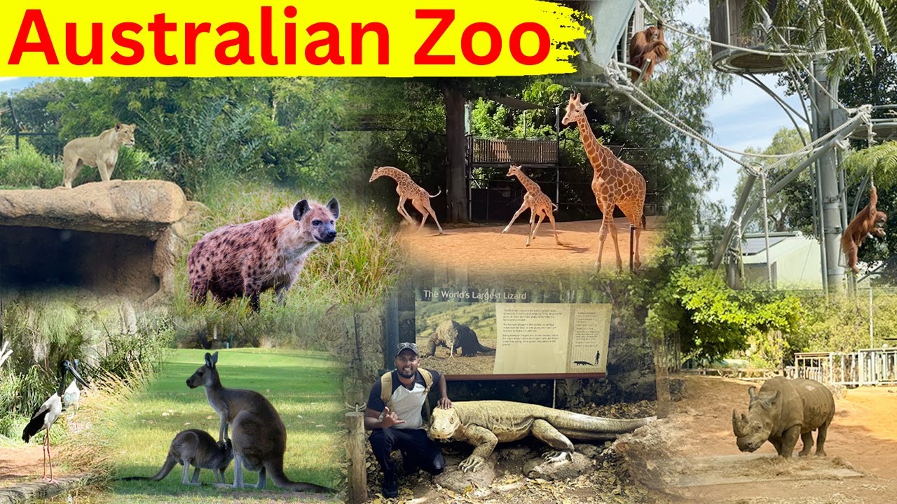 Perth Zoo Tour | Visiting and exploring an Australian zoo | The ...