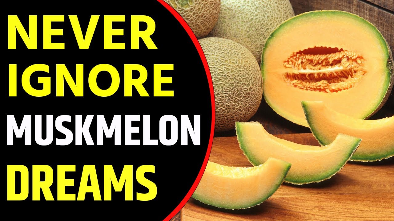 What Does Muskmelon Dream Meaning | Dreaming of Muskmelons | Muskmelon ...