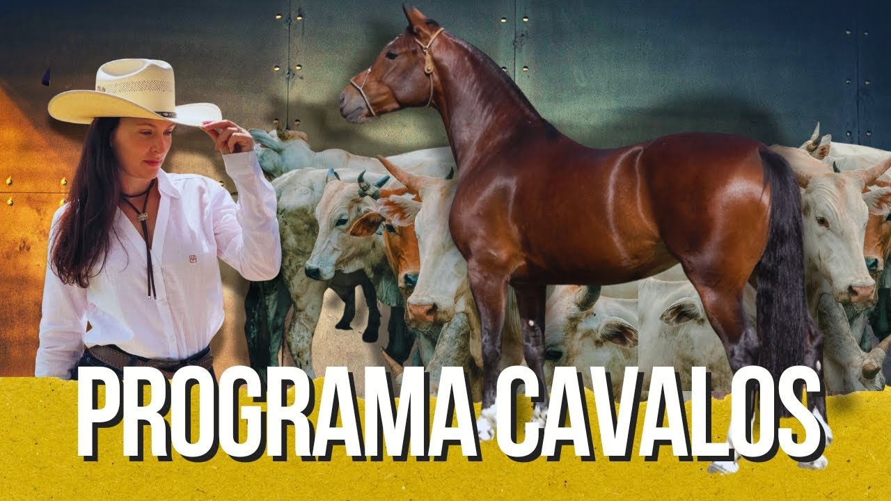 Páscoa com novo episódio do Programa Cavalos.Congresso da ABRAVEQ ...