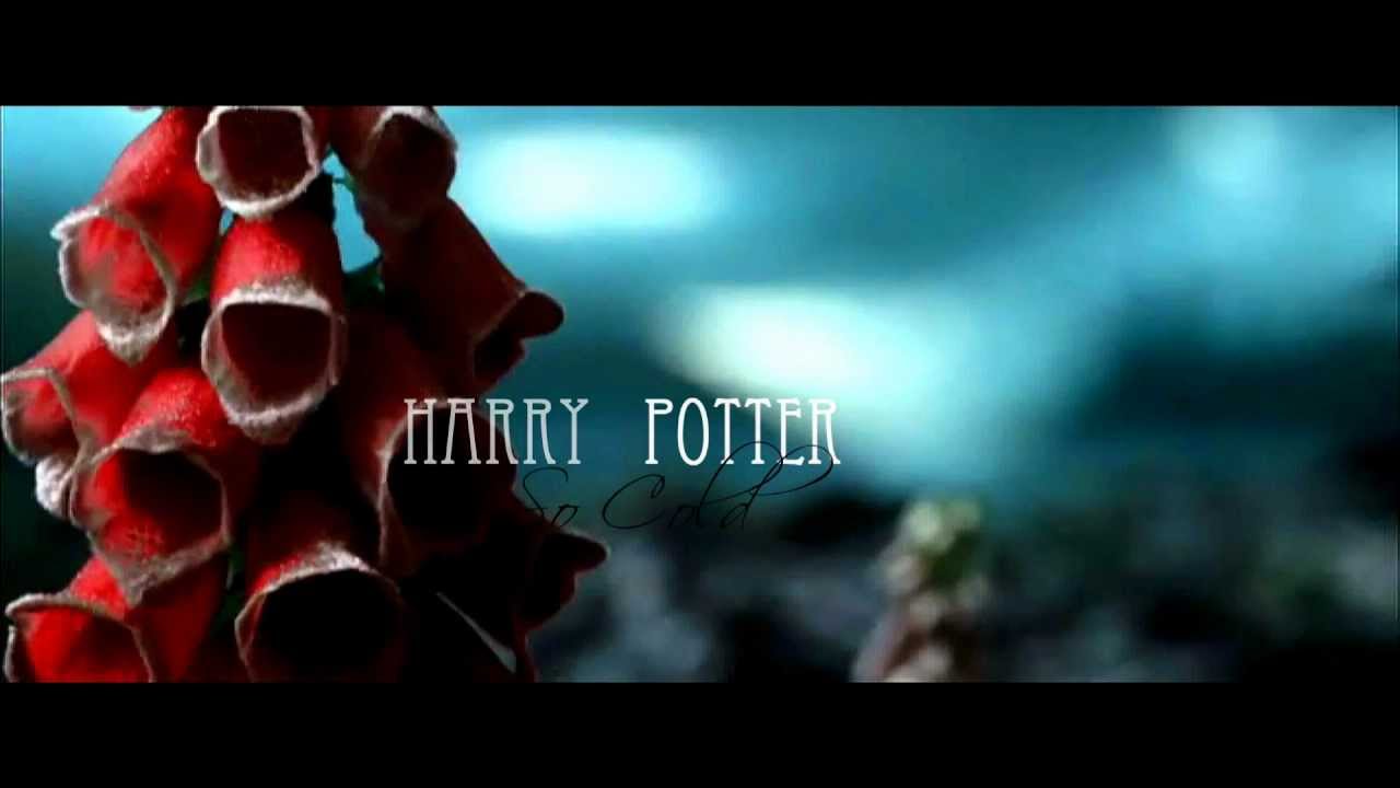 Harry Potter - So Cold ♥ - YouTube