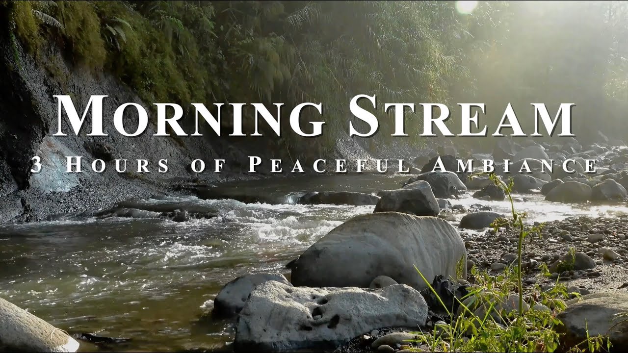 Soothing Morning Stream in a Forest | Nature ASMR Video | HD - YouTube