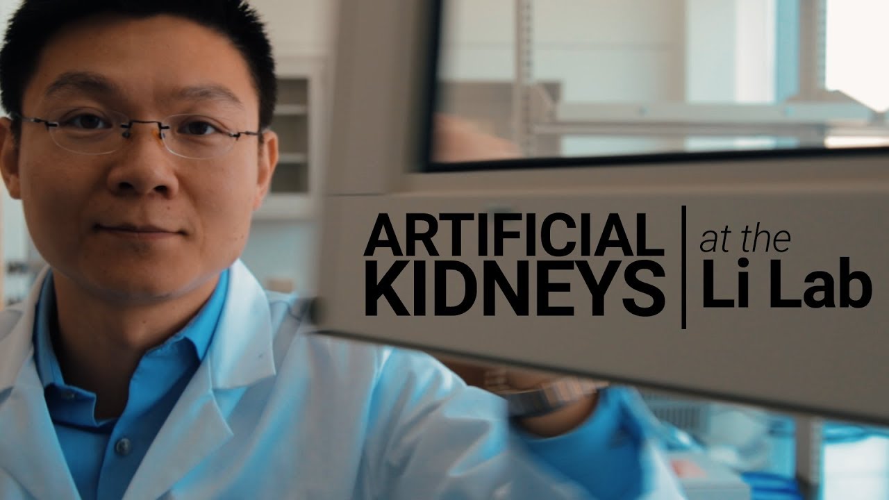 USC Stem Cell scientist Zhongwei Li is writing a recipe for a kidney ...