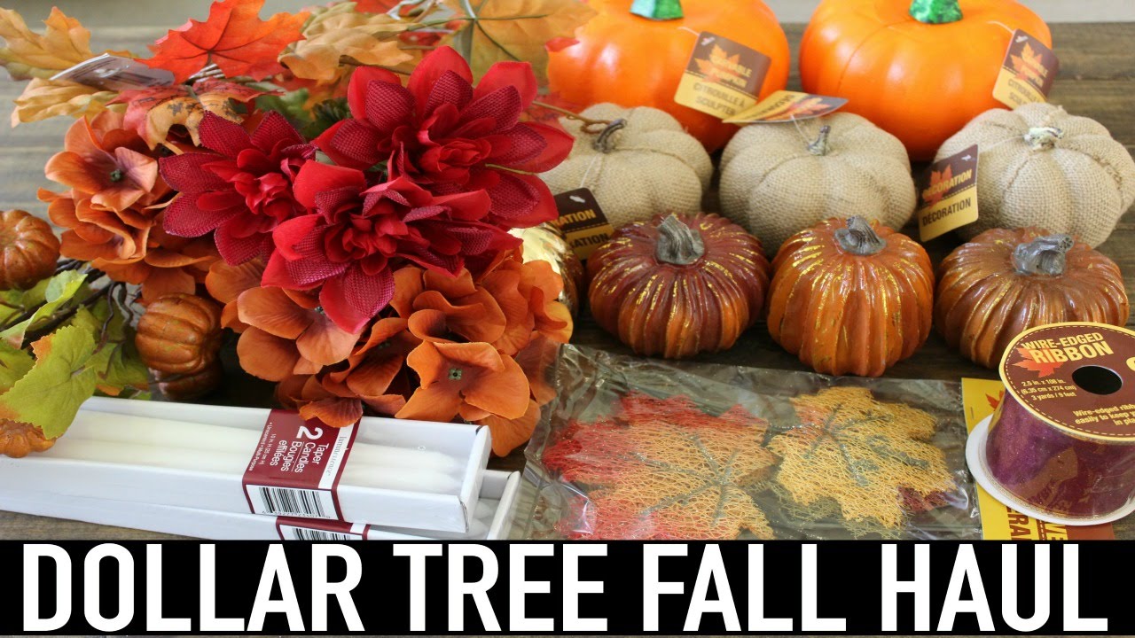 Dollar Tree Fall Decor Haul | FALL 2016 - YouTube