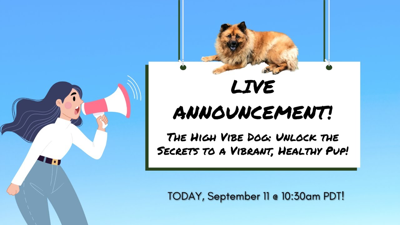 the High Vibe Dog: Unlock the Secrets to a Vibrant, Healthy Pup - YouTube