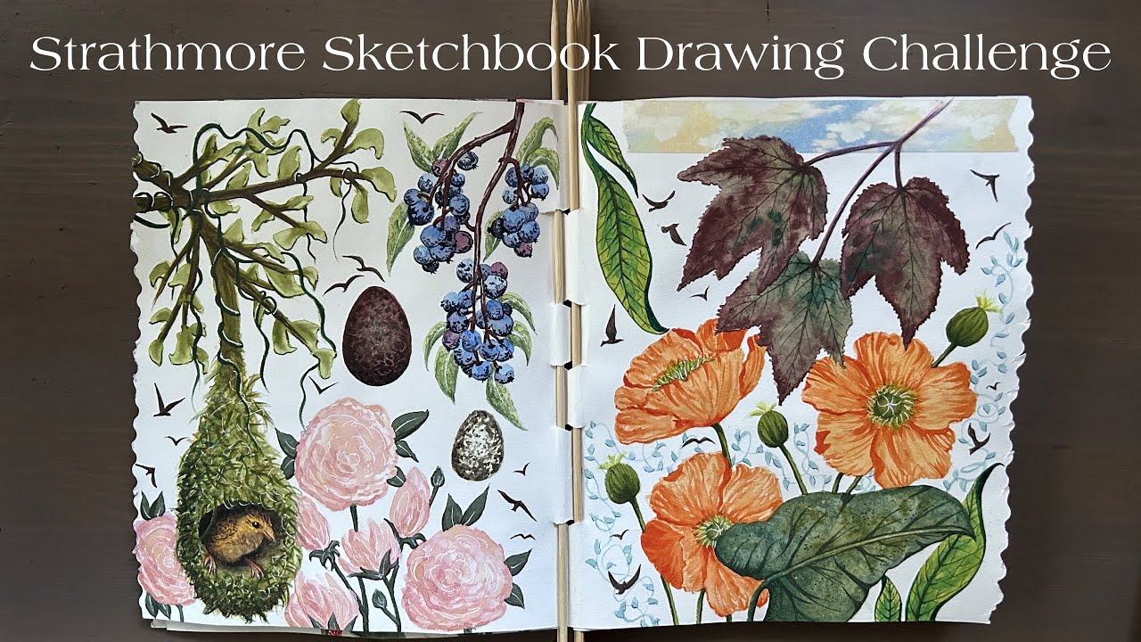 Strathmore 500 Series Sketchbook Drawing Challenge - YouTube