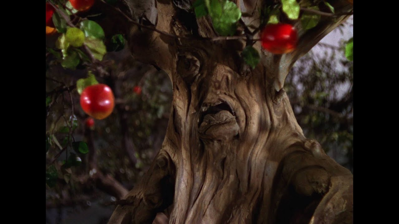 TWOO In SJ Talking Apple Tree & Tin Man (Deleted Scene) - YouTube