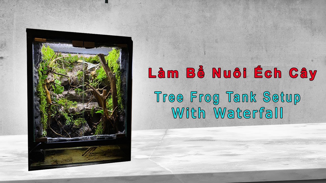 Setup Tree Frog Tank With Waterfall | Làm Bể Bán Cạn Nuôi Ếch Cây Với ...