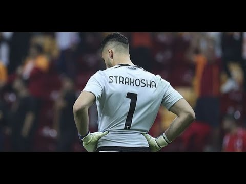 S-T-R-A-K-O-S-H-A  ana skm