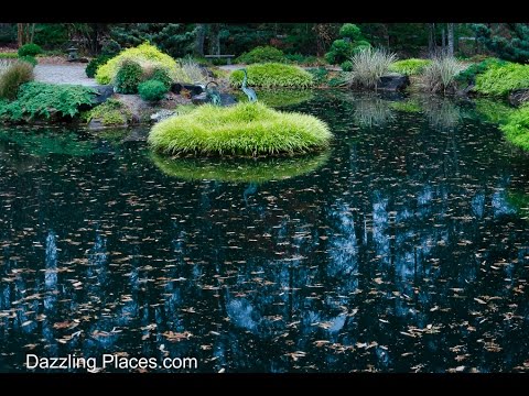 Late Fall Colors at North Georgia's Fabulous Gibbs Gardens