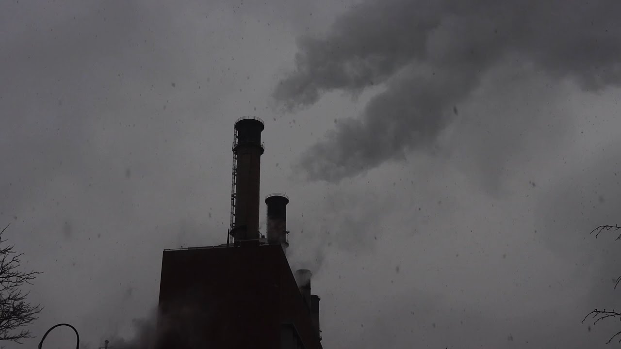 ZACHERY ALLAN STARKEY - FALLOUT (Official Music Video) - YouTube