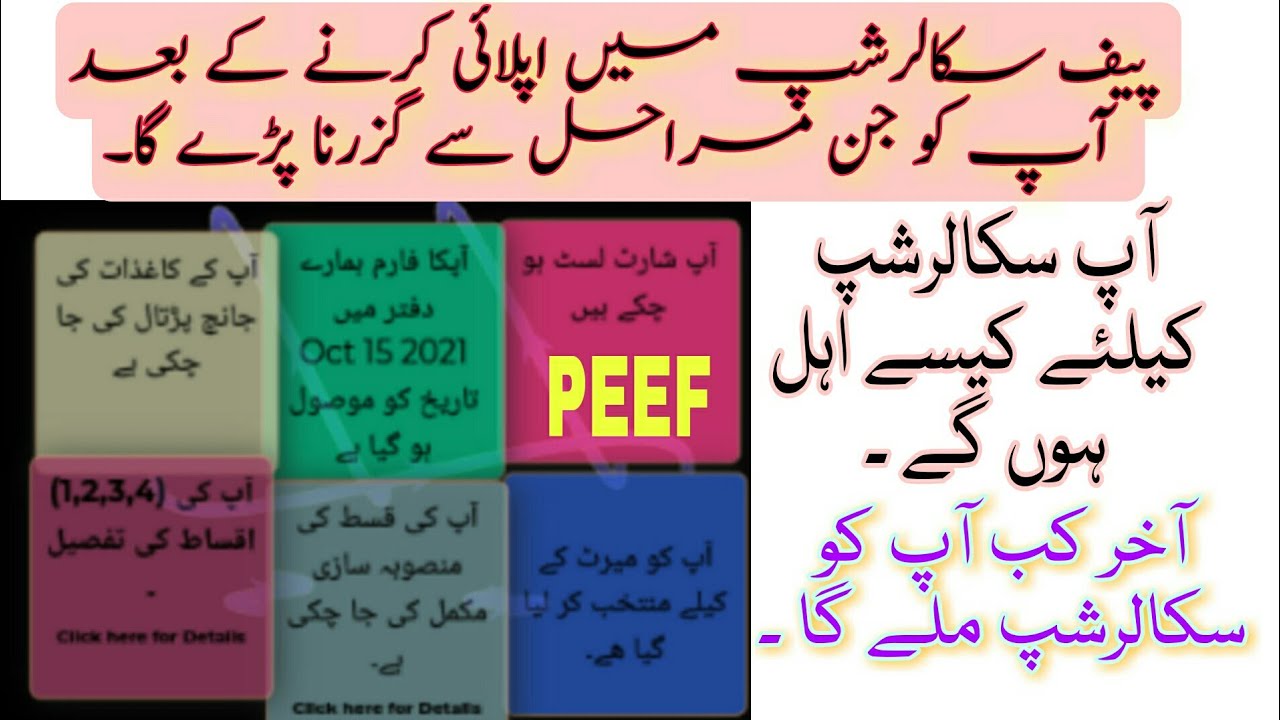 PEEF Scholarship Steps/ PEEF Scholarship Completion Steps/ Punjab ...