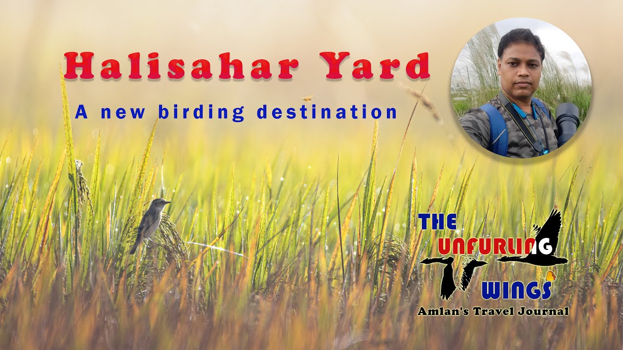 Halisahar Yard, A New Birding Destination - YouTube