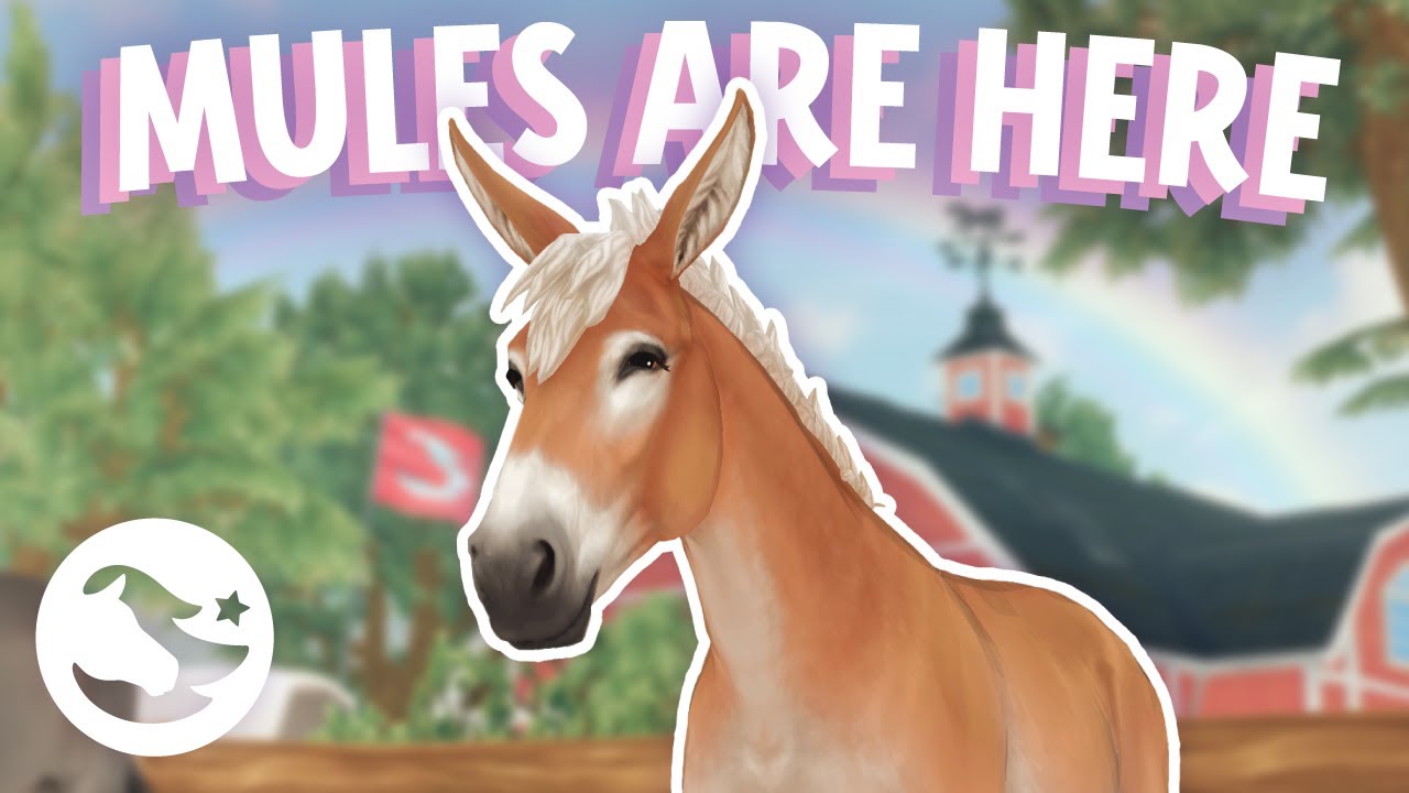 MULES and MORE! (SSO Update Ride Along & Guide) - YouTube