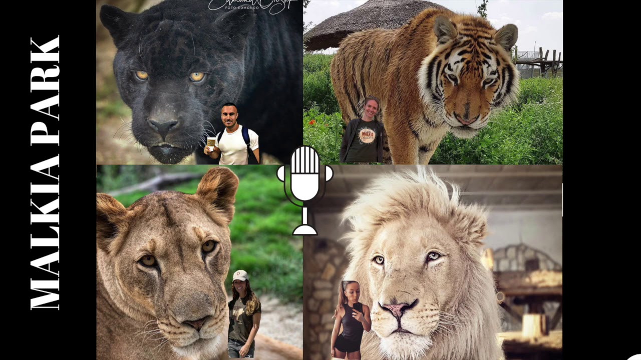 EP.49 MALKIA PARK - miesto, kde sa má každé zvieratko dobre - YouTube