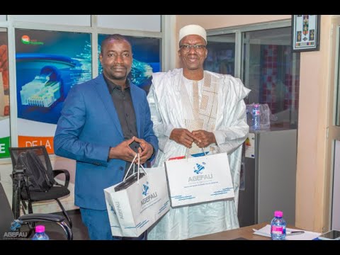 Publi reportage ANSI- AGEFAU au NIGER. - YouTube