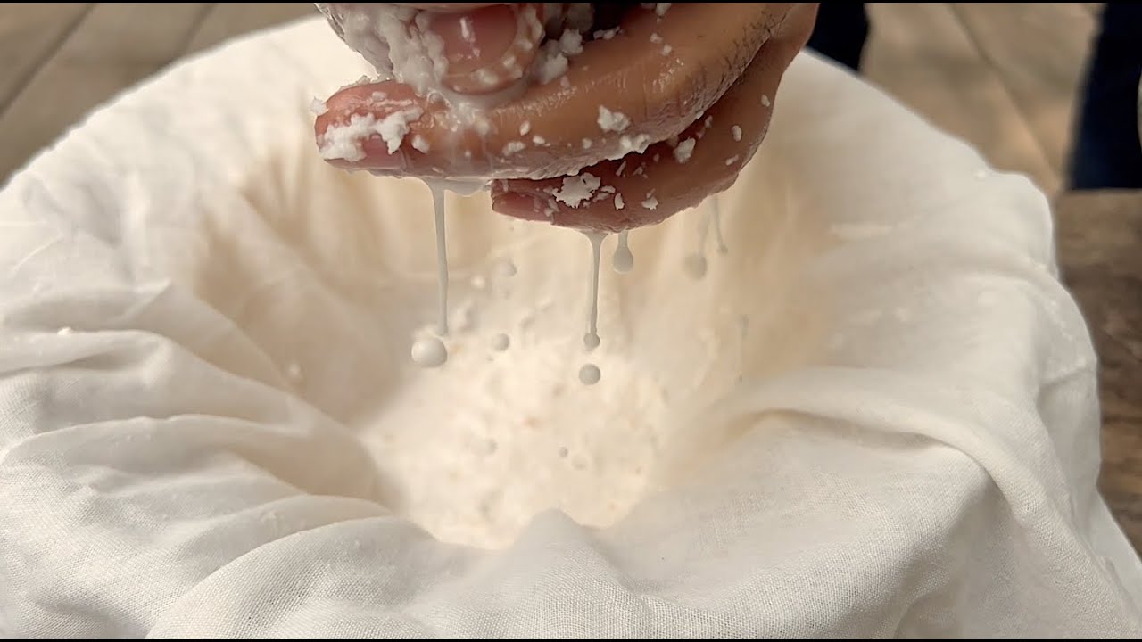 COCONUT ORCHARD | hand squeezed 🥥milk | Amazing🇹🇭 - YouTube