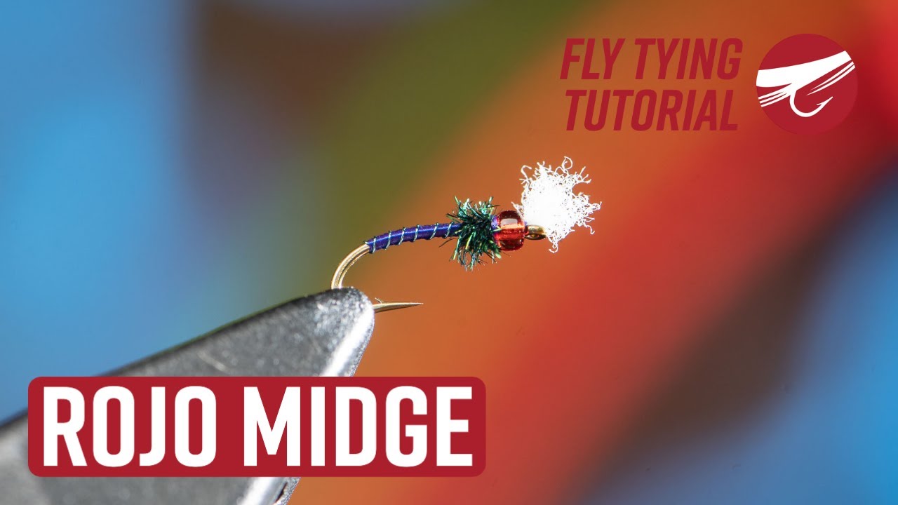 Purple Rojo Midge | FLY TYING TUTORIAL - YouTube