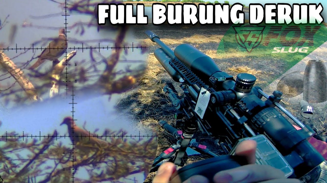 FULL PUTER GENI ‼️ BERBURU BURUNG DERUK AREA TAMBAK UDANG - YouTube