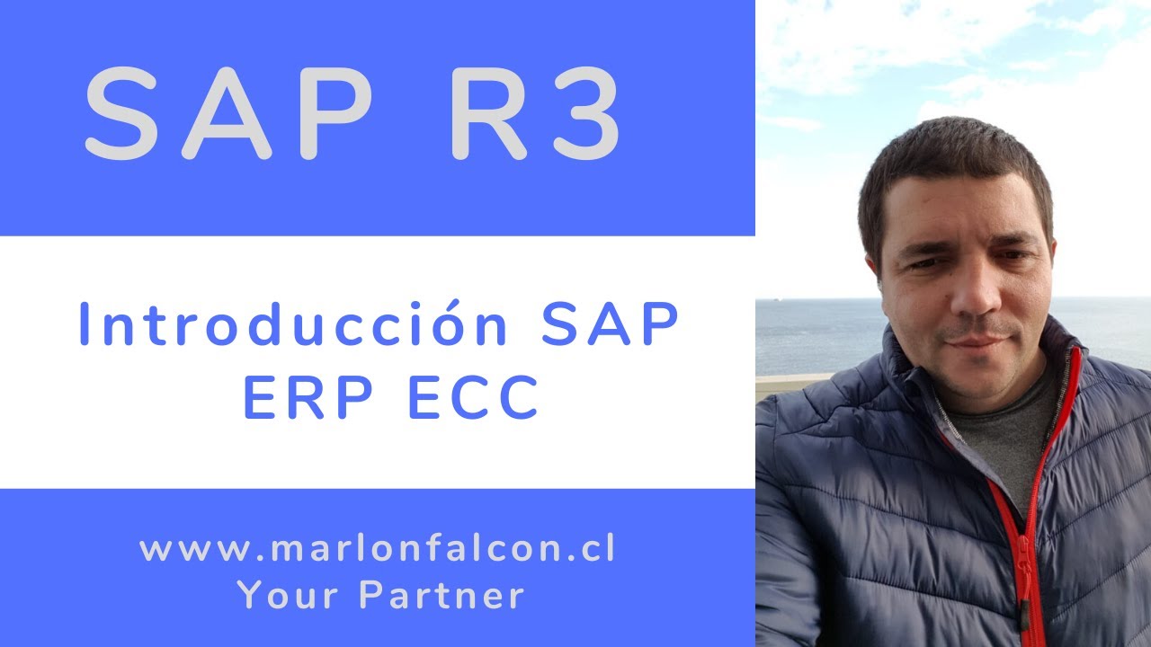 1.1 Curso SAP ERP | Introducción SAP ERP ECC - YouTube