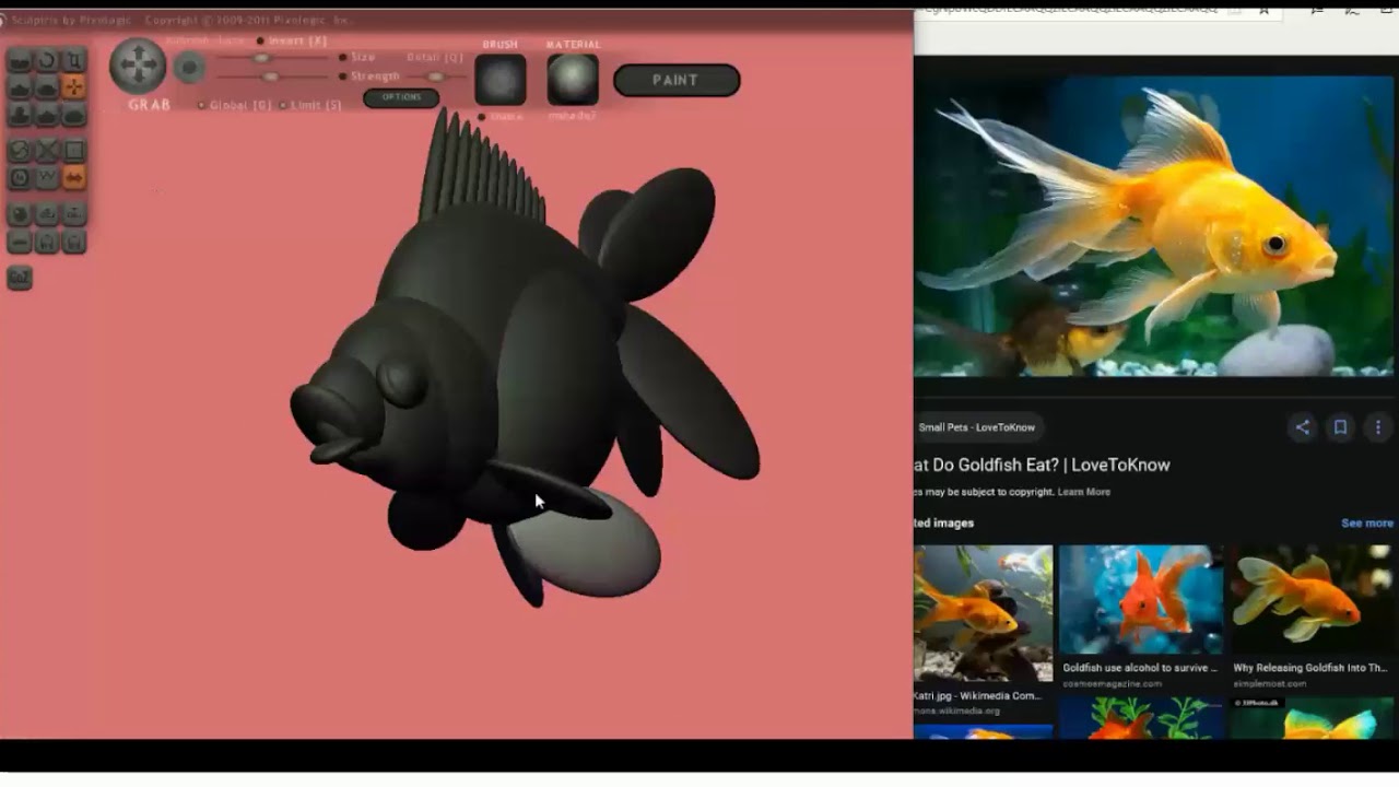 Goldfish Sculpted with Spheres in Sculptris Digital Modeling - YouTube