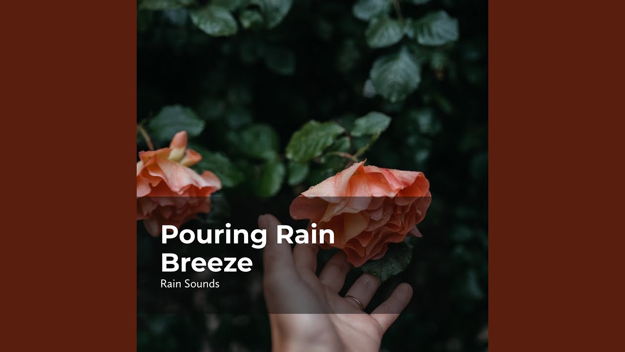 Teeming Rain in Tune - YouTube