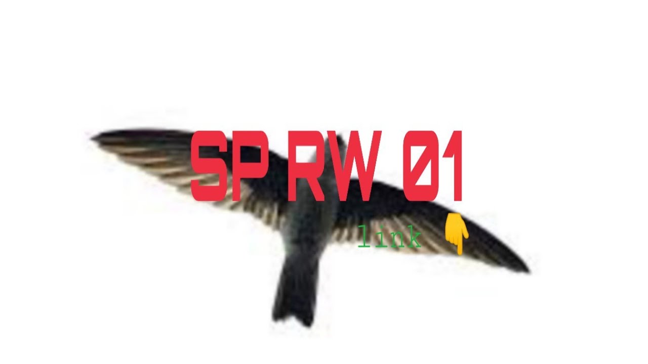 SP RW 01 - YouTube