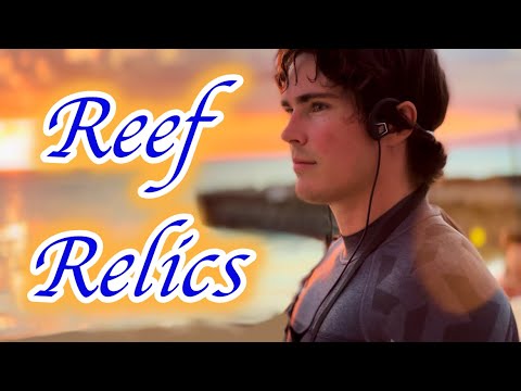 A New Adventure [Welcome to Reef Relics] - YouTube