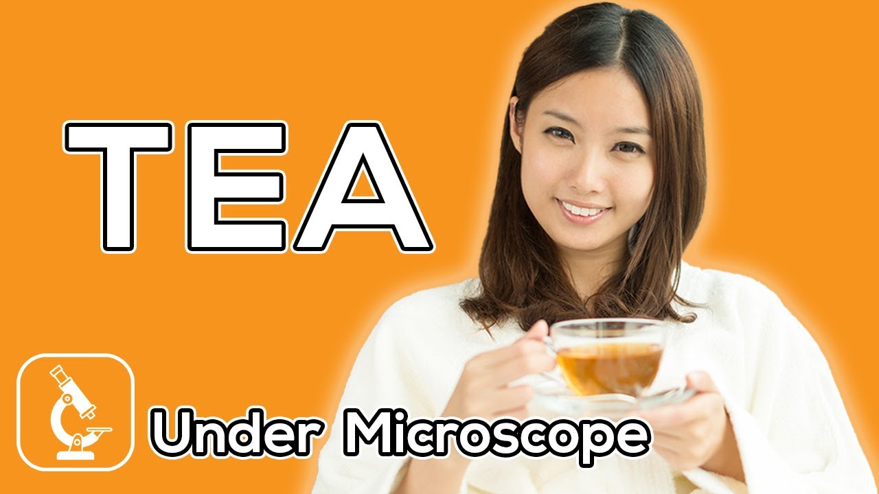 Under Microscope | What does tea look like under the microscope? - YouTube