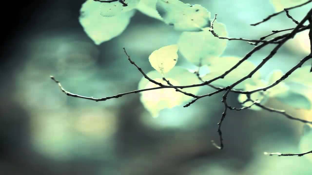 Nicane - Life Sees Death [Free Download] - YouTube