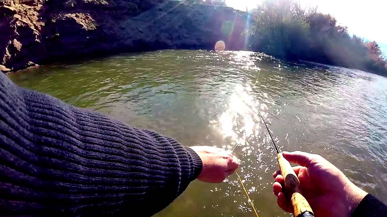 FlyFishing Salt River - YouTube