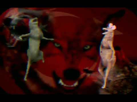 Dans Eden Kurt 2023 Güncel Versiyon