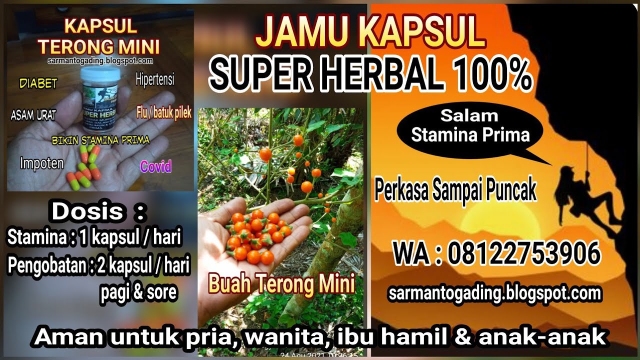 TERONG MINI OBAT DIABET & ASAM URAT, DLM BENTUK KAPSUL - YouTube