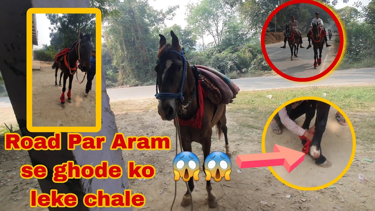 Road par aram se ghode ko leke chale 🥰😱 Dono ghode ke bare mai bataya ...