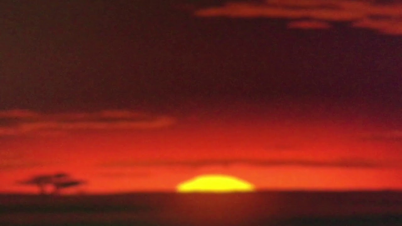 Shrek Roar The Lion King - YouTube