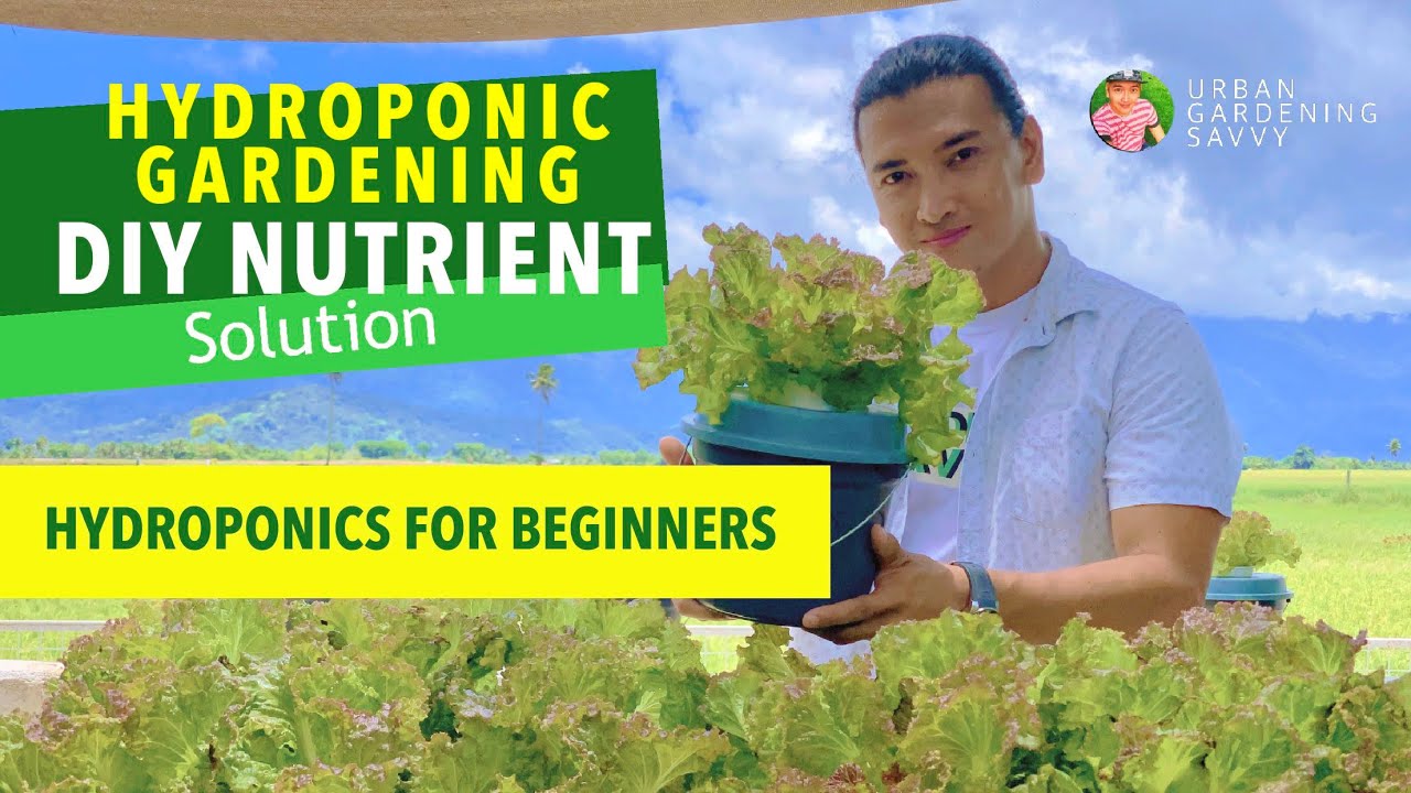 Hydroponic Gardening | DIY NUTRIENT SOLUTION | Hydroponics for Beginners | LETTUCE - YouTube