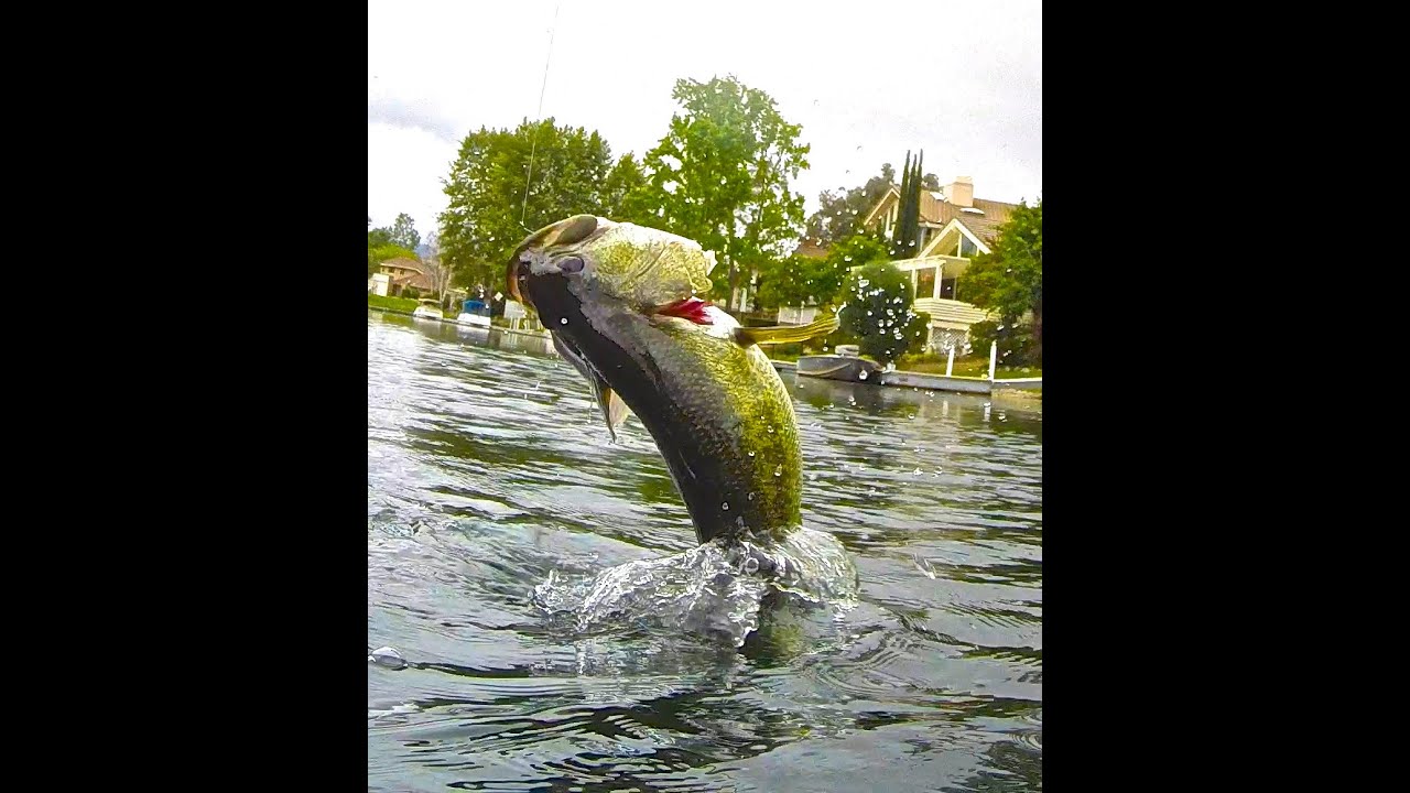 Jumping Bass Pics That Will Make You Want To Go Fishing! - YouTube