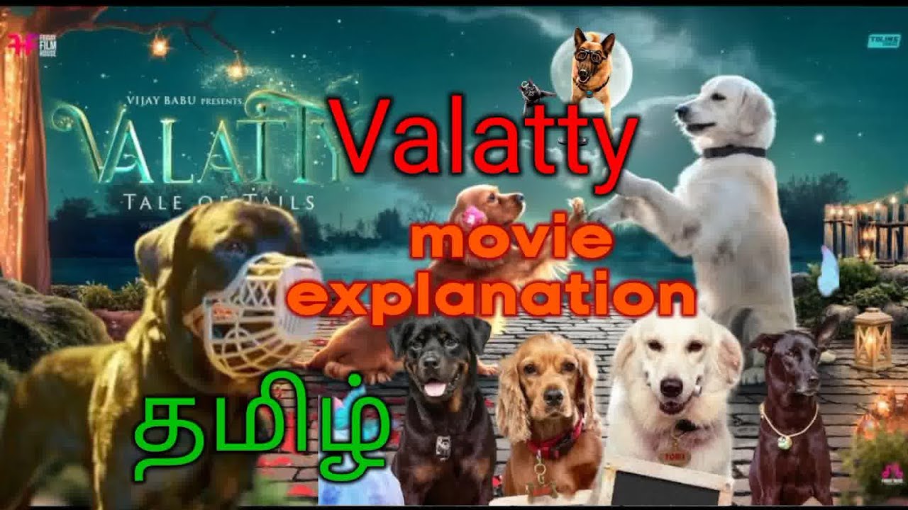 valatty movie tamil explanation|#dreamchanger,#malayalammovie,# ...
