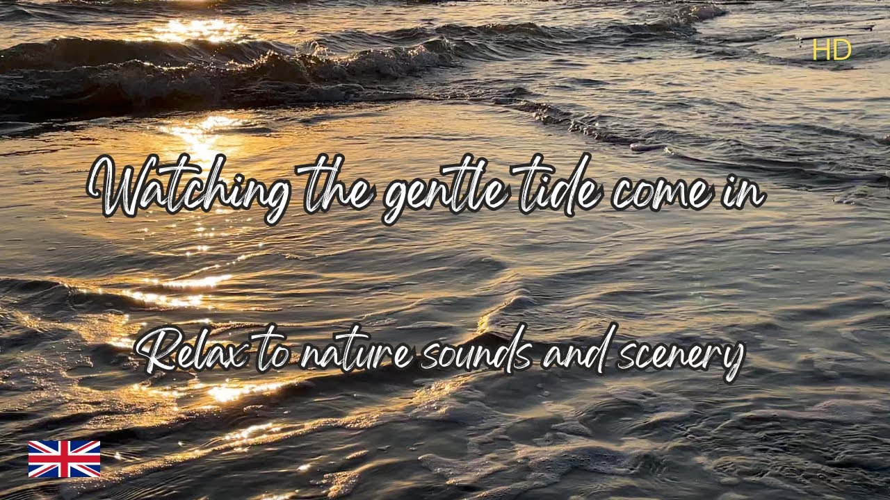 WATCHING THE GENTLE TIDE COME IN: Nature scenes and sounds for ...