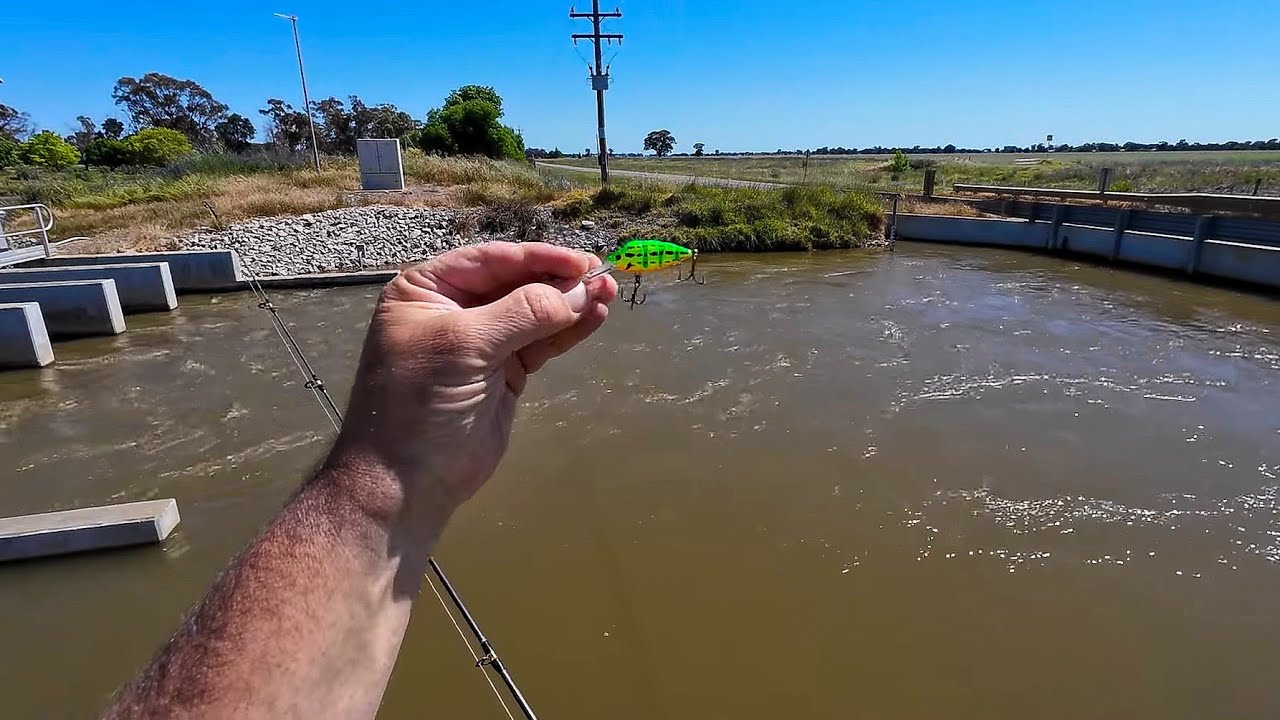 Fishing In The Berrigan Channel in NSW - YouTube