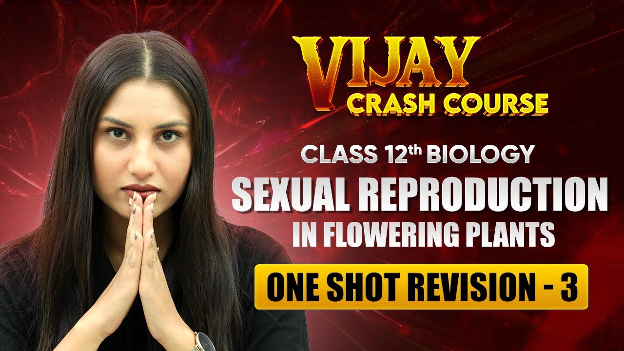 Sexual Reproduction in Flowering Plants - One Shot Revision (Part 3 ...