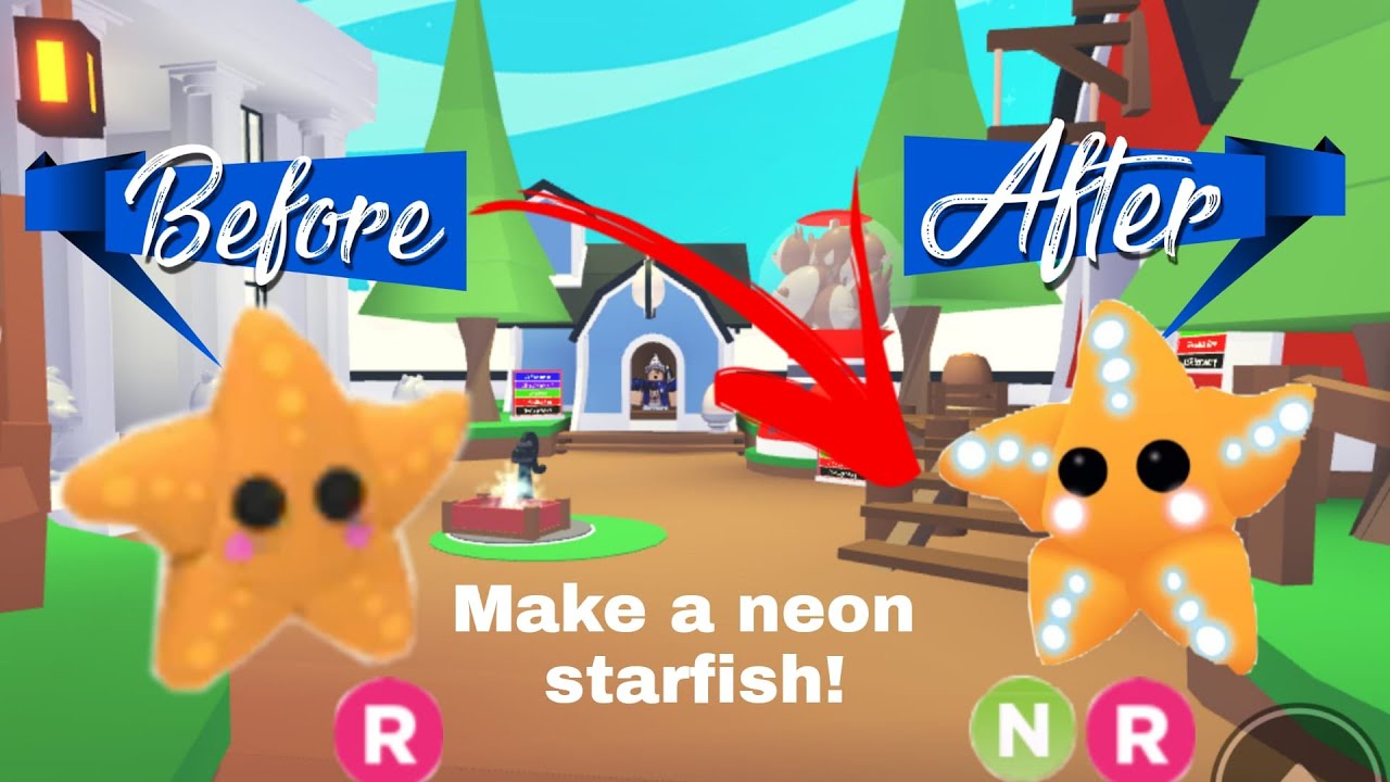 I MAKE A NEON RIDE STARFISH!! *Roblox Adopt Me* -XxBubbleTeaBobaxxX ...