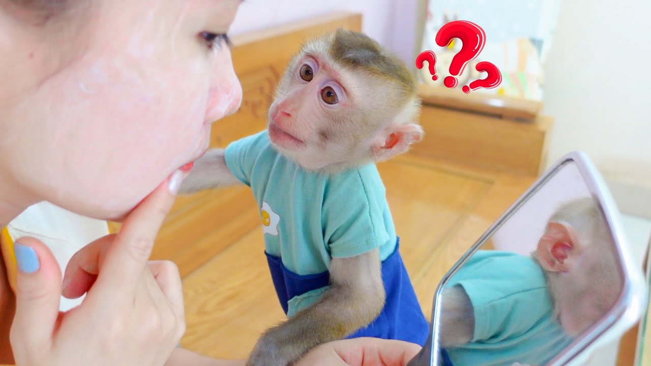 Monkey Pupu is curious and learns from his mom about makeup. - YouTube