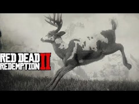 Legendary Elk Hunting || Red Dead Redemption 2 - YouTube