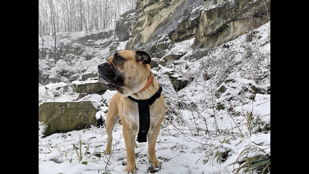 Cvičné skály - bývalý lom Godula - YouTube