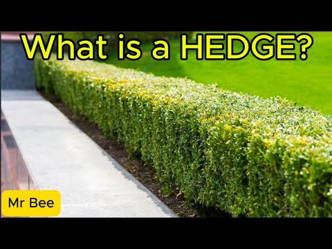 Craps Strategy - What is a HEDGE bet? - YouTube
