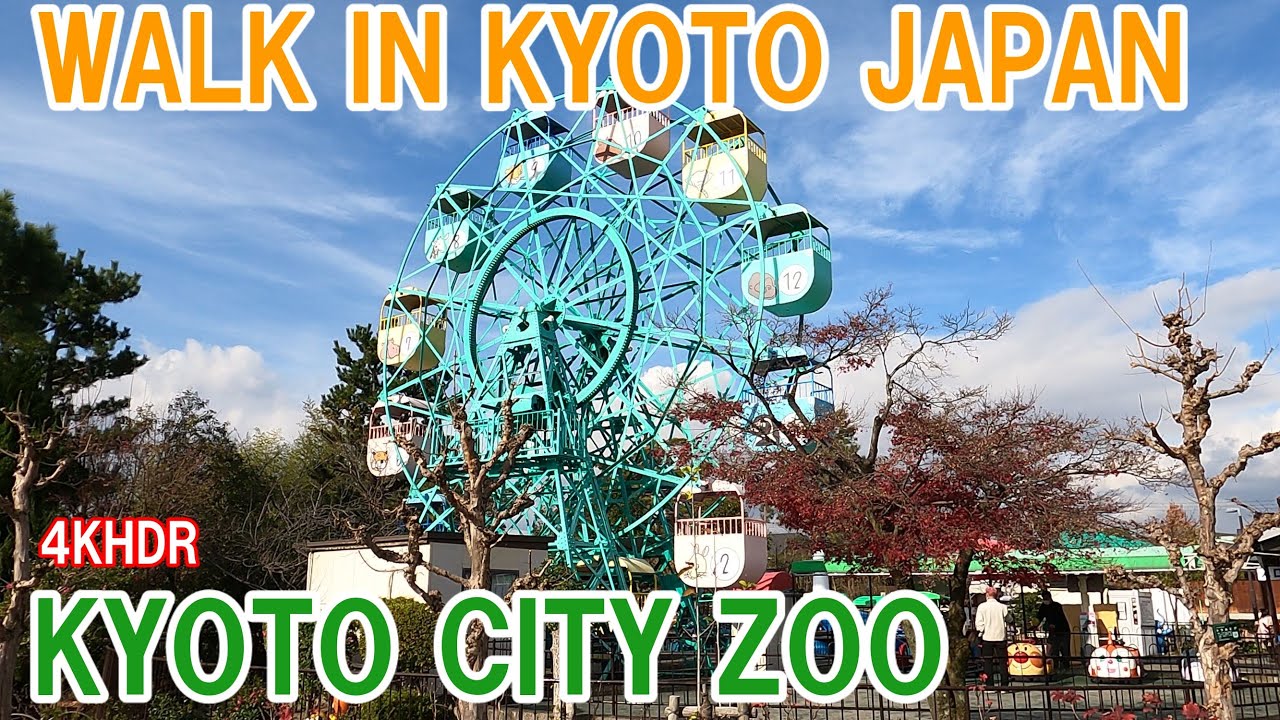【4K】Walk in KYOTO CITY ZOO in KYOTO CITY in JAPAN. - YouTube