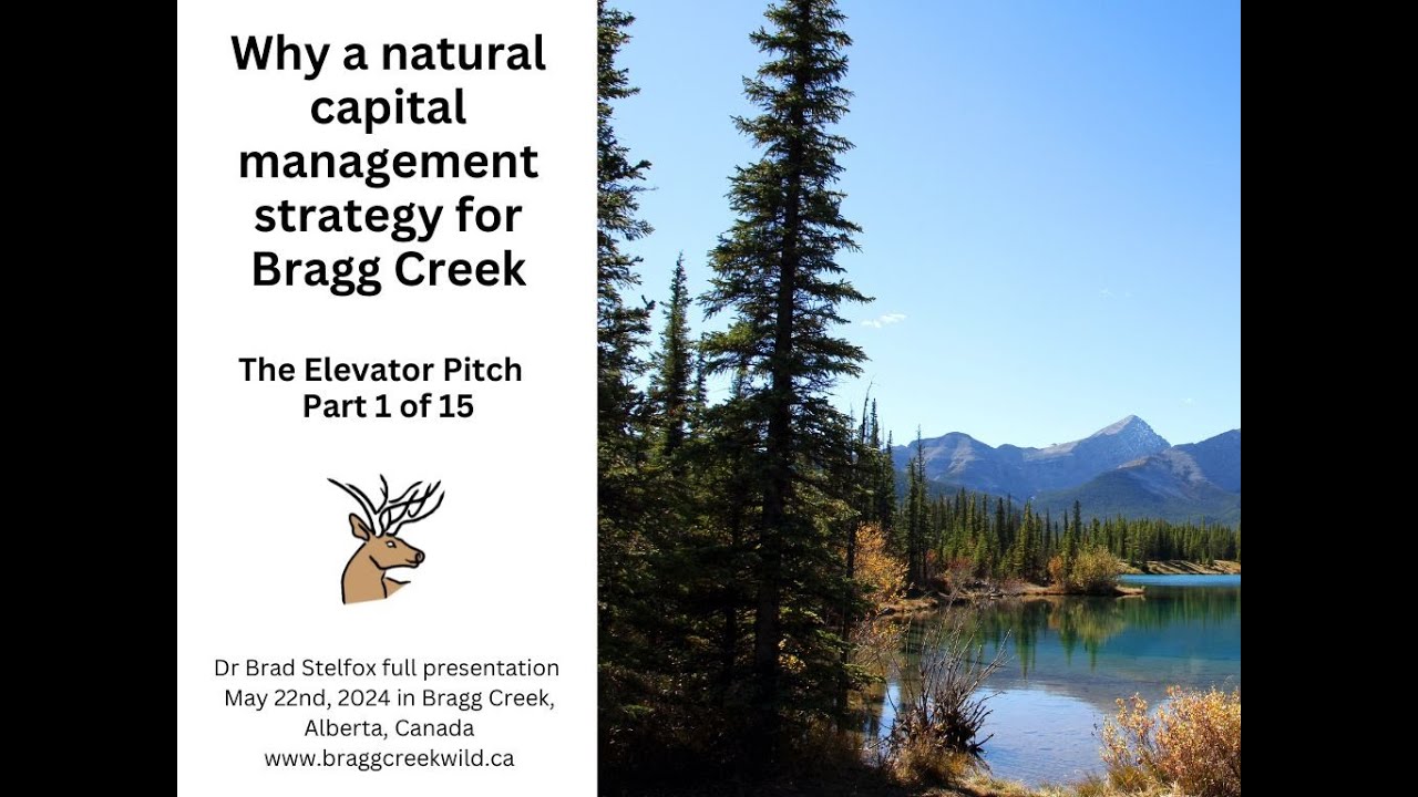 PART 1 of 15 - Why a natural capital management strategy for Bragg ...