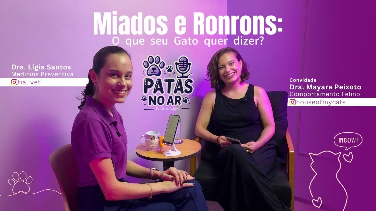 Bate-papo sobre Comportamento Felino com a Dra Lígia Santos e a Dra Mayara Peixoto. - YouTube