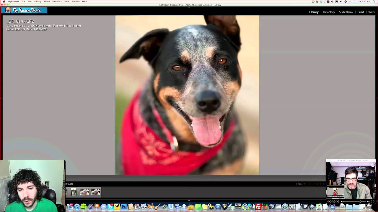 Photo Editing RAW Edit 56 - Dog Photo - YouTube