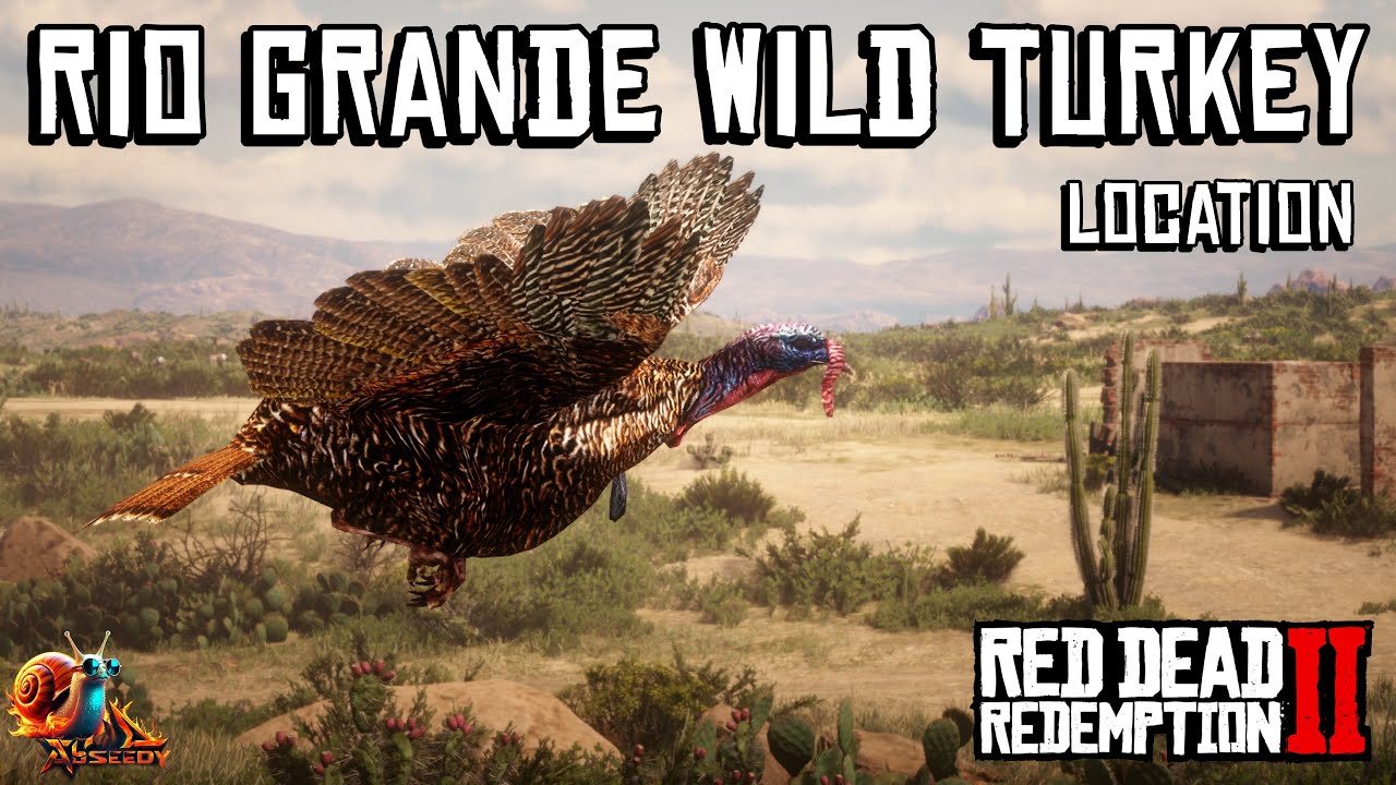Rio Grande Wild Turkey Location - Red Dead Redemption 2 - YouTube